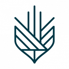 NCE FAQ - Canadian College of Health Information Management